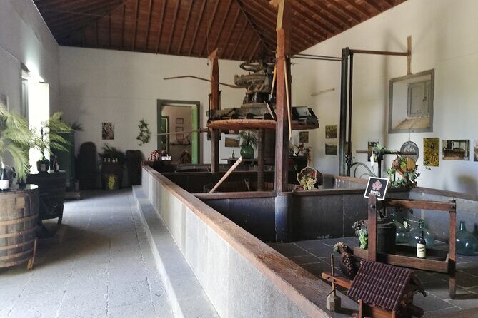 The best of Gran Canaria: 4 Hours Private Cruise Tour - The Sum Up