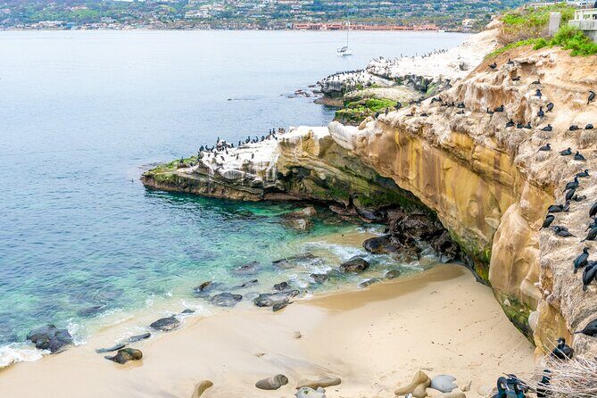 The Best of La Jolla Walking Tour: Sip, Savor & Sea - Practical Details: What Travelers Should Know