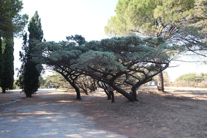 The Best of Rhodes & Lindos: Full Island Tour (Small Group) - FAQ