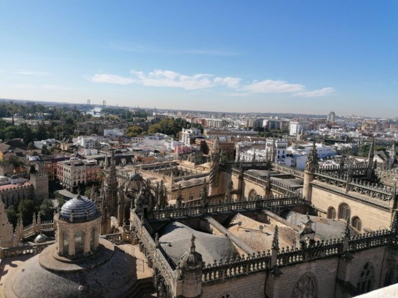 The Best of Seville: Private 2,5 Hour Walking Tour - Final Thoughts