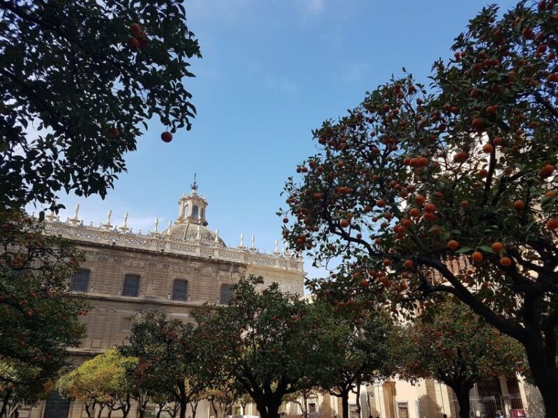 The Best of Seville: Private 2,5 Hour Walking Tour - FAQs