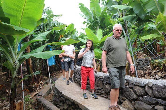 The best of SouthWest - open top roof 4x4 experience - Exploring the Best of SouthWest Madeira in a 4x4 Open Top Experience
