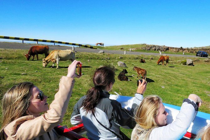 The best of SouthWest - open top roof 4x4 experience - Overall Value and Practicalities