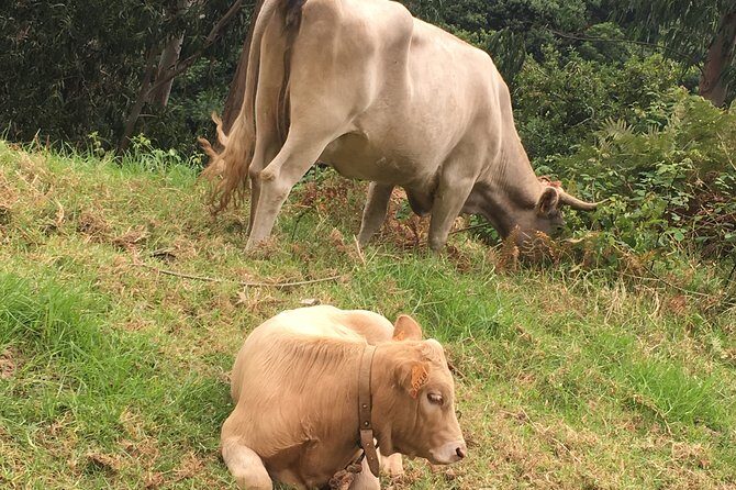 The best of SouthWest - open top roof 4x4 experience - Who Will Love This Experience?
