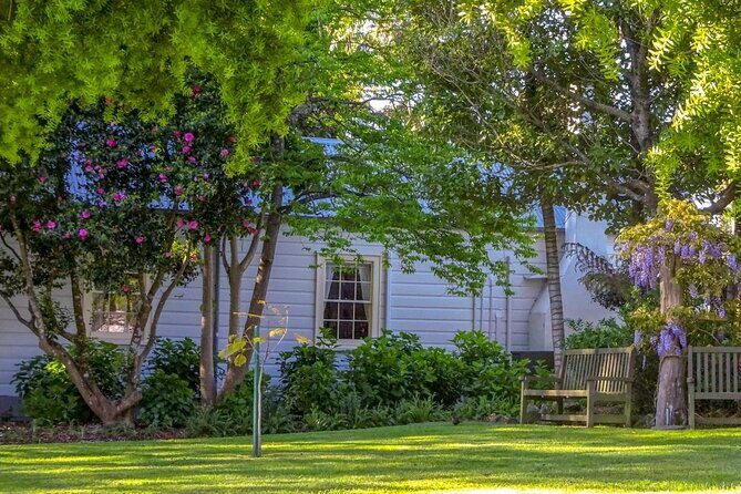 The Best of Tauranga Private Walking Tour - Who Is This Tour Best For?