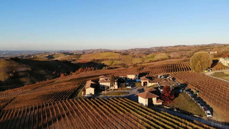 The Best of the Langhe: Wine Tasting & Traditional Meal - A Deep Dive into the Experience