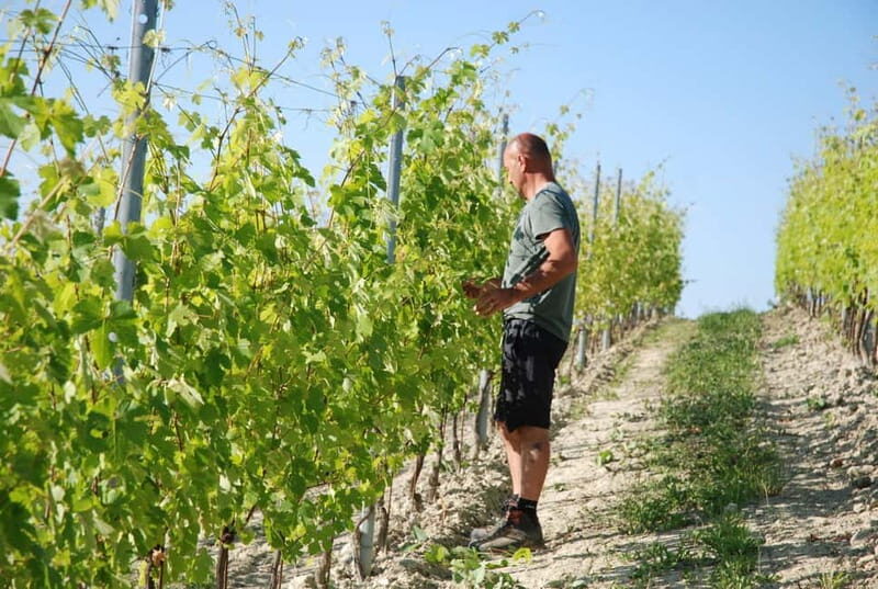 The Best of the Langhe: Wine Tasting & Traditional Meal - Final Thoughts