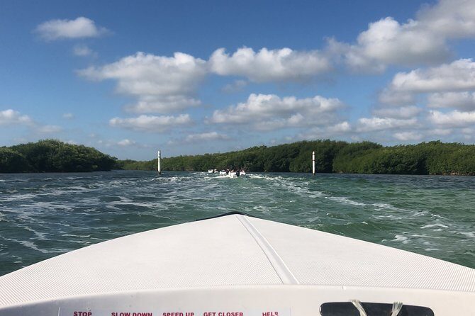 The Best Speedboat Tour In Cancun through Nichupte Lagoon, Snorkel included. - Key Points