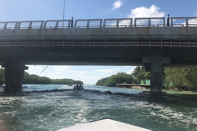 The Best Speedboat Tour In Cancun through Nichupte Lagoon, Snorkel included. - FAQ