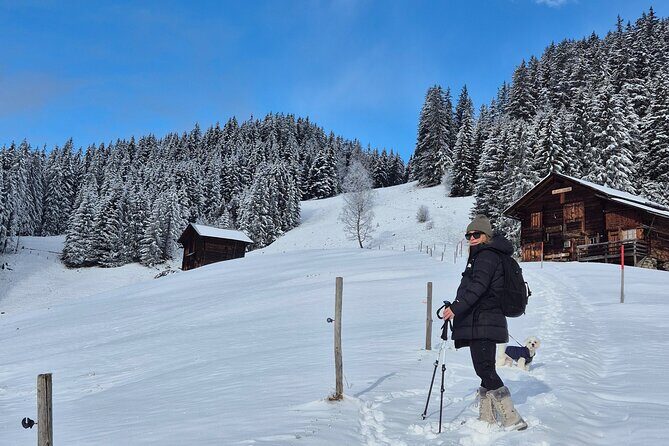 The best Sunset hike with Cheese Fondue - Key Points