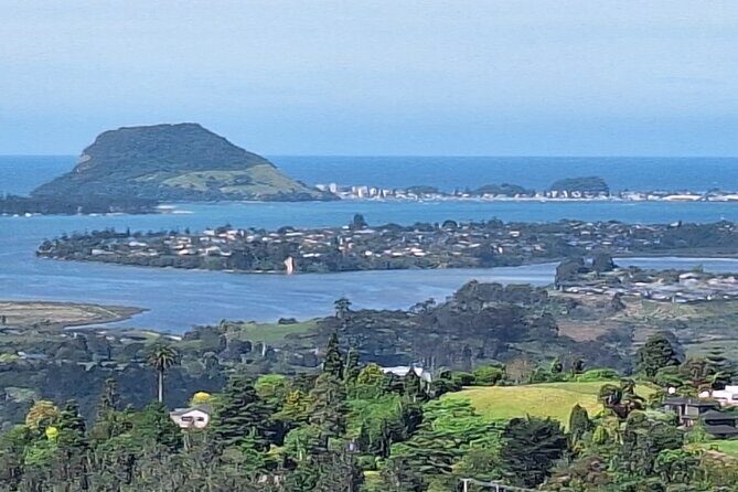 The Big Bay Tour with Te Puna Sculpture garden and Minden Views - A Seamless Start at the Cruise Ship Dock