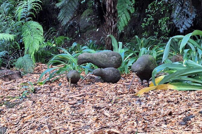 The Big Bay Tour with Te Puna Sculpture garden and Minden Views - Transportation & Group Size: Comfort and Connection
