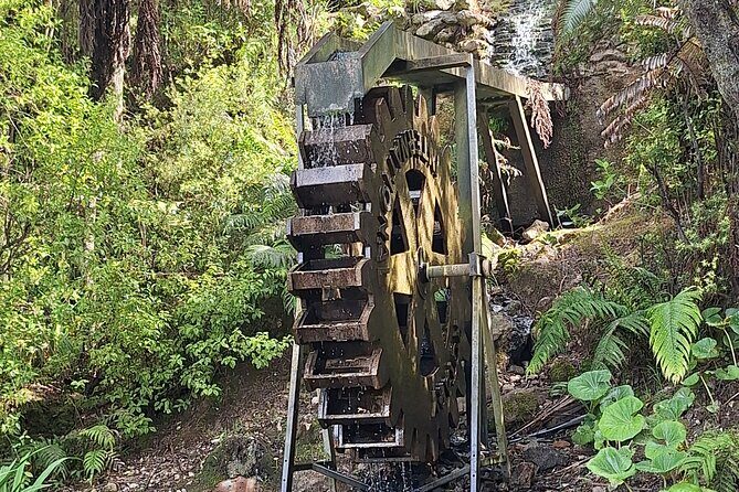 The Big Bay Tour with Te Puna Sculpture garden and Minden Views - Duration & Value: How the Day Unfolds