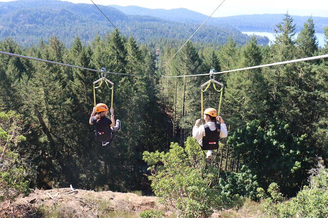 The Big Zip Experience - A Quick Overview of What to Expect