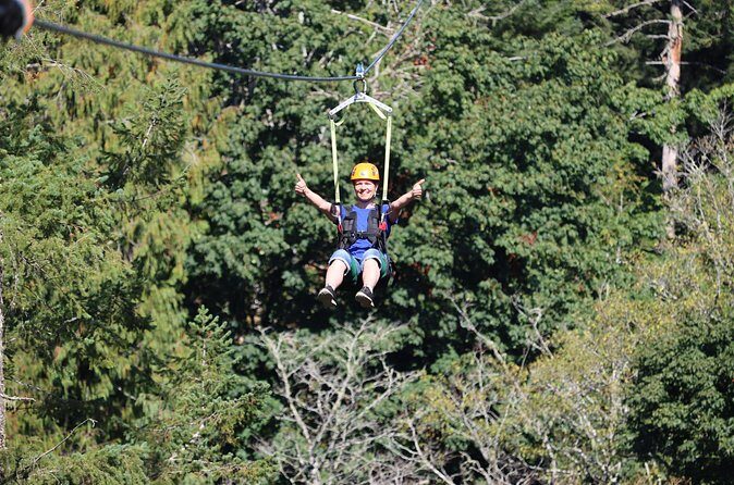 The Big Zip Experience - The Review Insights