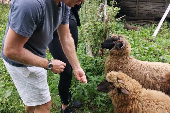 The Biggest Salt Mine in Europe and the Carpathian Authentic Villages - Final Thoughts