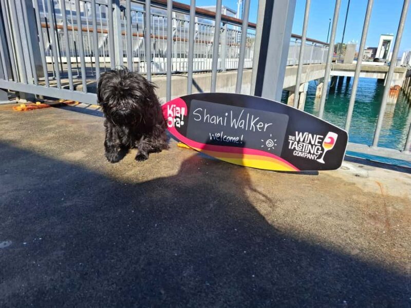 The Boutique Experience: Waiheke Island Best Cellar Tour - An In-Depth Look at the Waiheke Cellar Tour