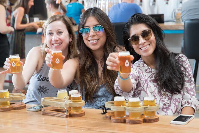 The Brew Bus: Austin Brewery Tour with Live Band - Who Should Consider This Tour?