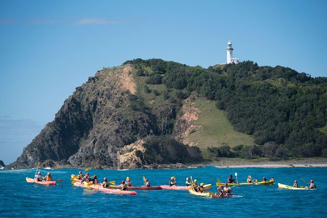 The Byron Bay Sea Kayak Tour - The Wildlife and Nature Experience