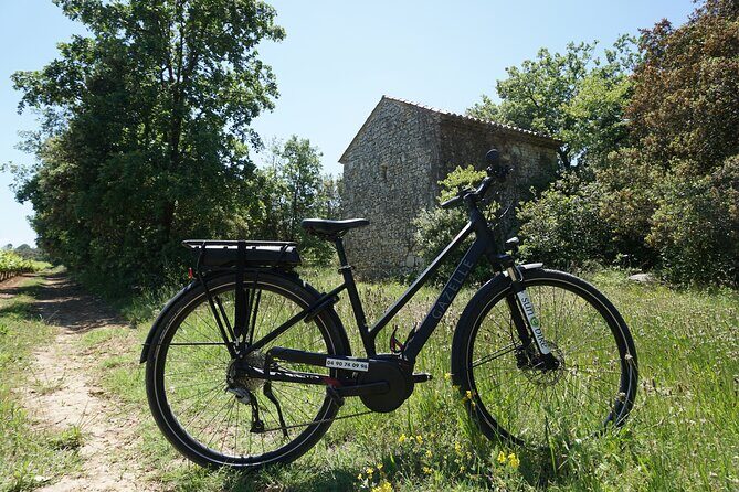 The Carrières de Lumières by e-bike - Exploring Provence by E-Bike: What the Tour Offers