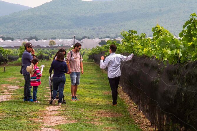 The Cheese and Wine Route - Frequently Asked Questions