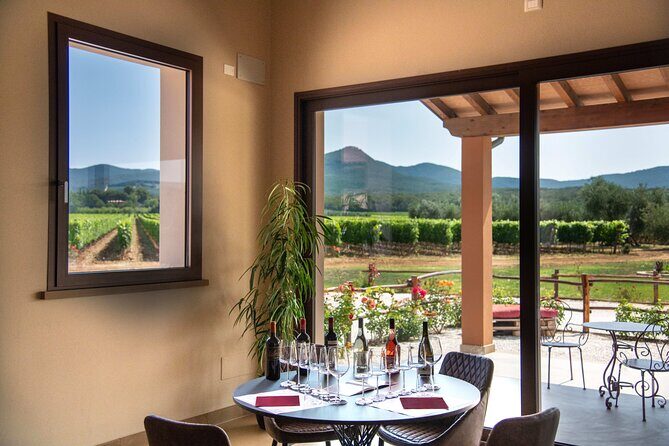 The classics - Guided tour with DOC Bolgheri tasting - The Tasting — Wines, Flavors, and Local Bites