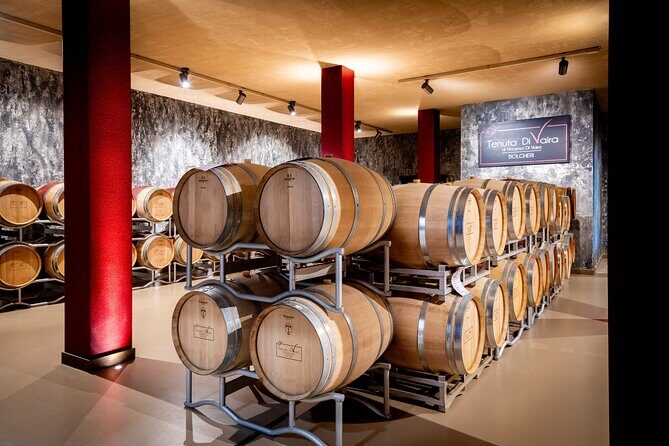 The classics - Guided tour with DOC Bolgheri tasting - What Reviewers Say