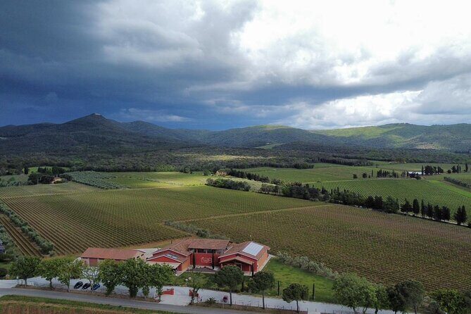 The classics - Guided tour with DOC Bolgheri tasting - Who Should Book This Tour?