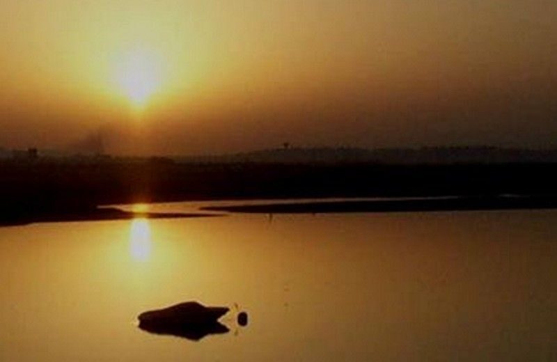 The Colors of Ria Formosa: Sunset Boat Trip in Faro - What Makes This Experience Special?