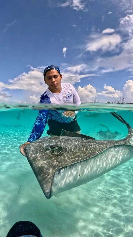 The Cozumel Turtle Sanctuary Snorkel Tour - What This Review Covers