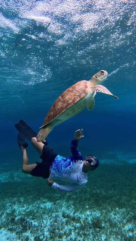 The Cozumel Turtle Sanctuary Snorkel Tour - Cielito and Beach Time
