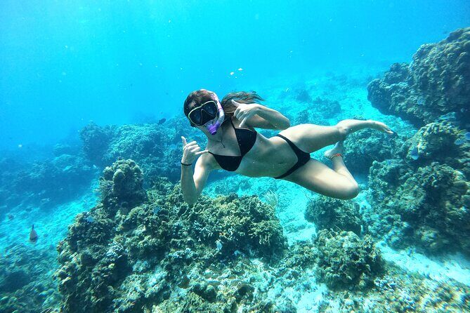 The Cozumel Turtle Sanctuary Snorkel Tour - Authentic Encounters and Highlights  