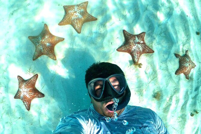 The Cozumel Turtle Sanctuary Snorkel Tour - Critiques and Considerations  