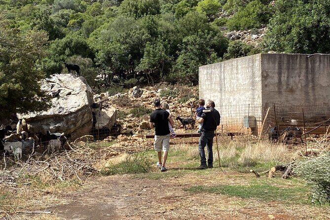 The Cretan Way of Life at the mountains of Rethymno (Mylopotamos) - Exploring the Cretan Way of Life at Rethymnos Mountains: An Honest Review