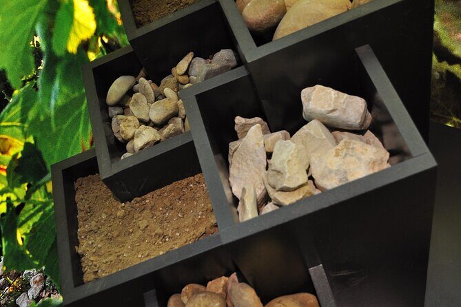 The discovery trail at Maison Brotte - The Experiences Strengths and Possible Drawbacks