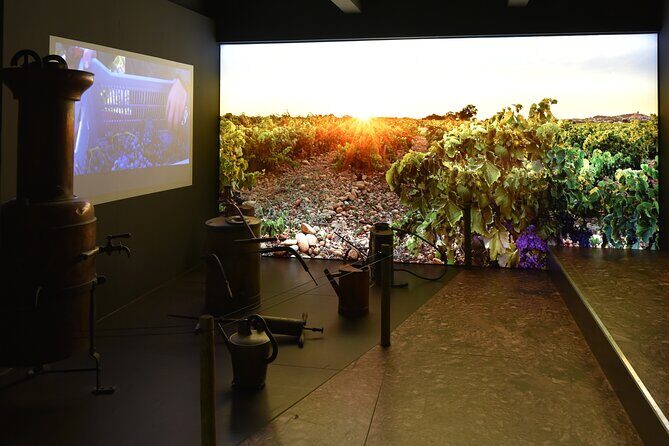 The discovery trail at Maison Brotte - The Sum Up