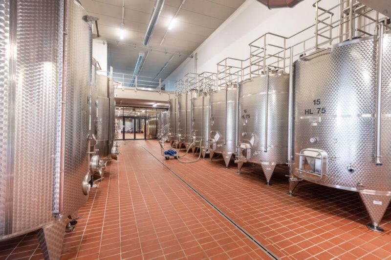 The Dosman: Winetasting in La Morra - An In-Depth Look at The Dosman Experience