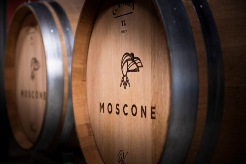 The Dosman: Winetasting in La Morra - Who Should Consider This Tour?