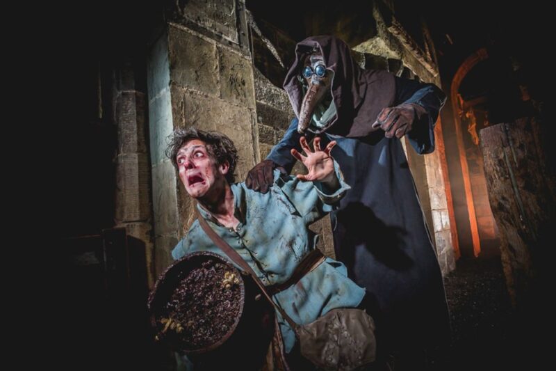The Edinburgh Dungeon Entrance Ticket - What Visitors Are Saying: Authentic Insights