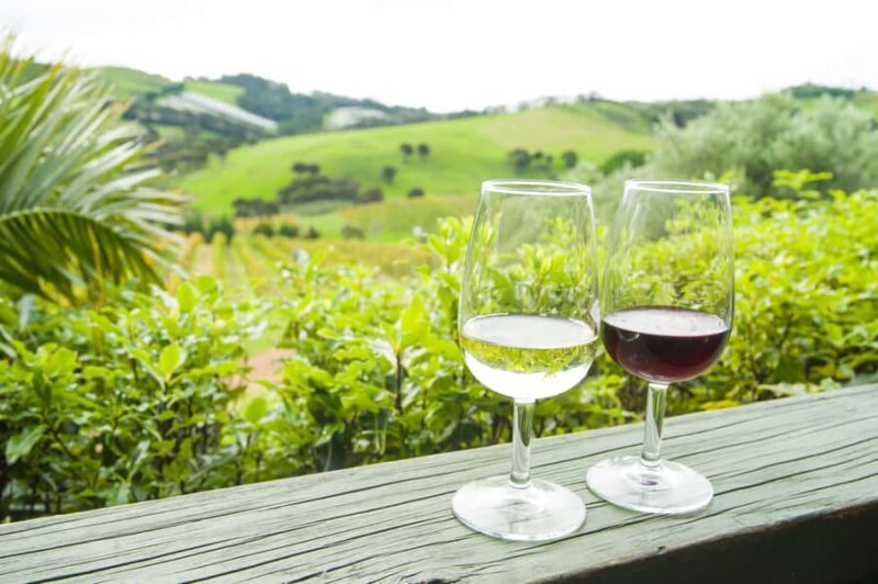 The Epic Waiheke Sundowner, Food And Wine Trip - An Authentic Taste of Waiheke in a Compact Package