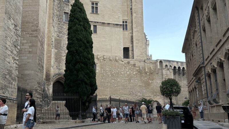 The Essence of Provence : Avignon, St Rémy, les Baux, Arles - Who Should Consider This Tour?