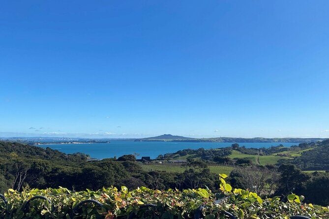 The Essence of Waiheke Wine Tour - Final Thoughts