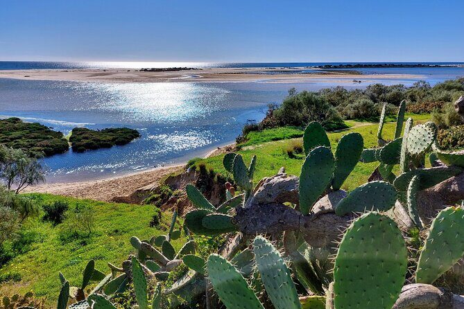 The Essential Algarve Relocation Tour! - Pricing and Value