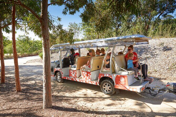 The Explorer - Cranbourne Gardens - An In-Depth Look at the Cranbourne Gardens Explorer Tour