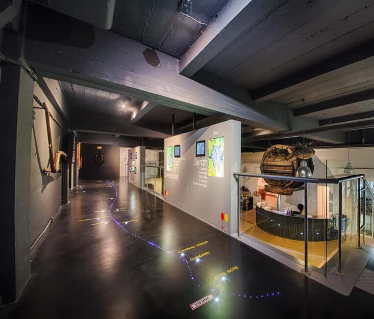 The Expression Tour: Visit & wine tasting. - Exploring the Details of the Tour