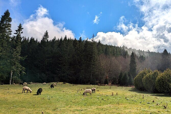 The Fabulous Pico do Arieiro: Half-day Private Tour - FAQ