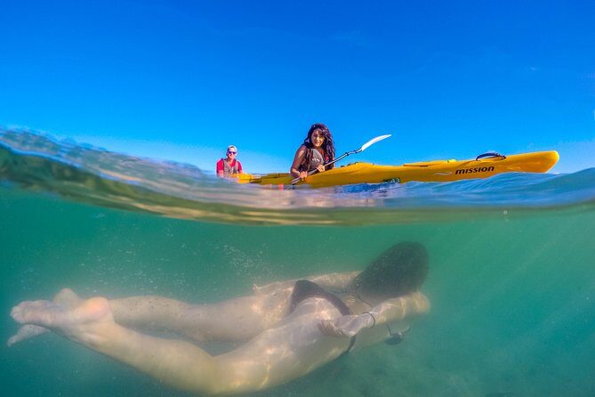 The Family Cruiser - An In-Depth Look at the Experience