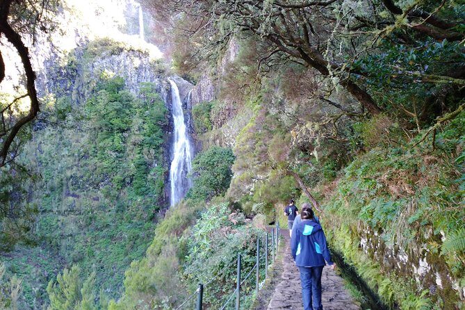 The Fantastic Cascades - Key Points