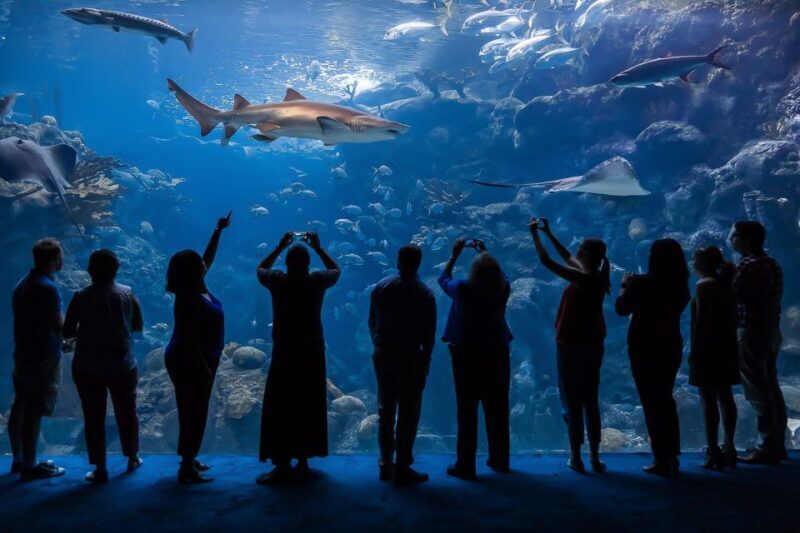 The Florida Aquarium Ticket - The Experience from a Reviewers Perspective