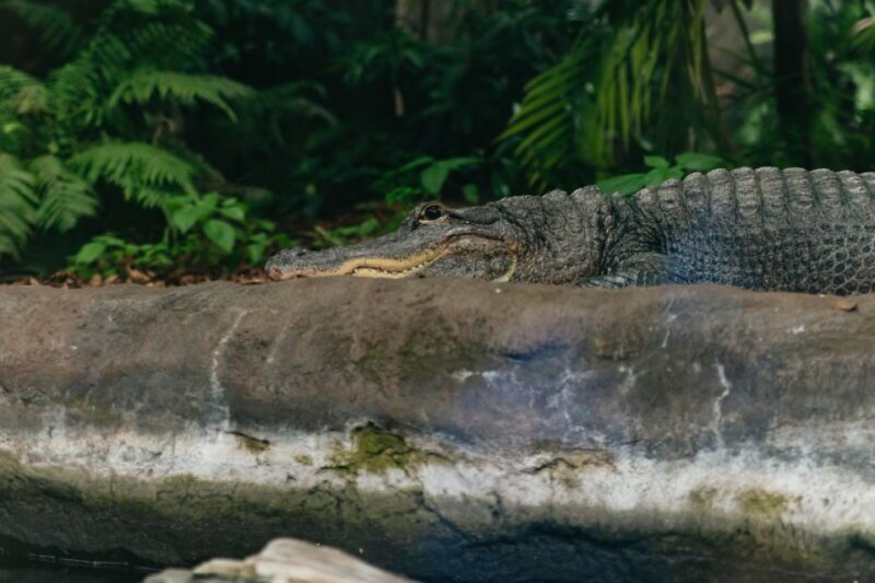 The Florida Aquarium Ticket - Who Will Love This Experience?